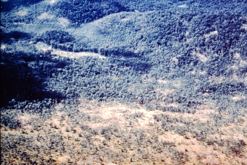 Terrain at Lz Xray - The First Major Battle of Vietnam